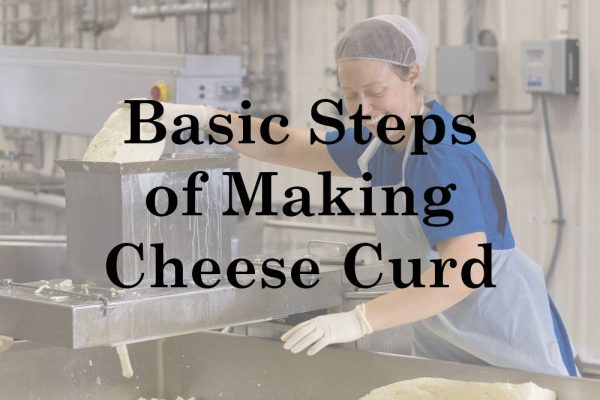 Basic Steps of Making Cheese Curd - Stoltzfus Family Dairy