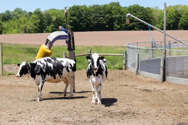 From the Farm - Stoltzfus Family Dairy