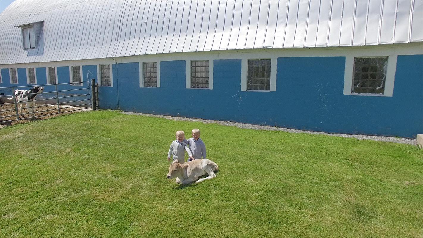 From the Farm - Stoltzfus Family Dairy