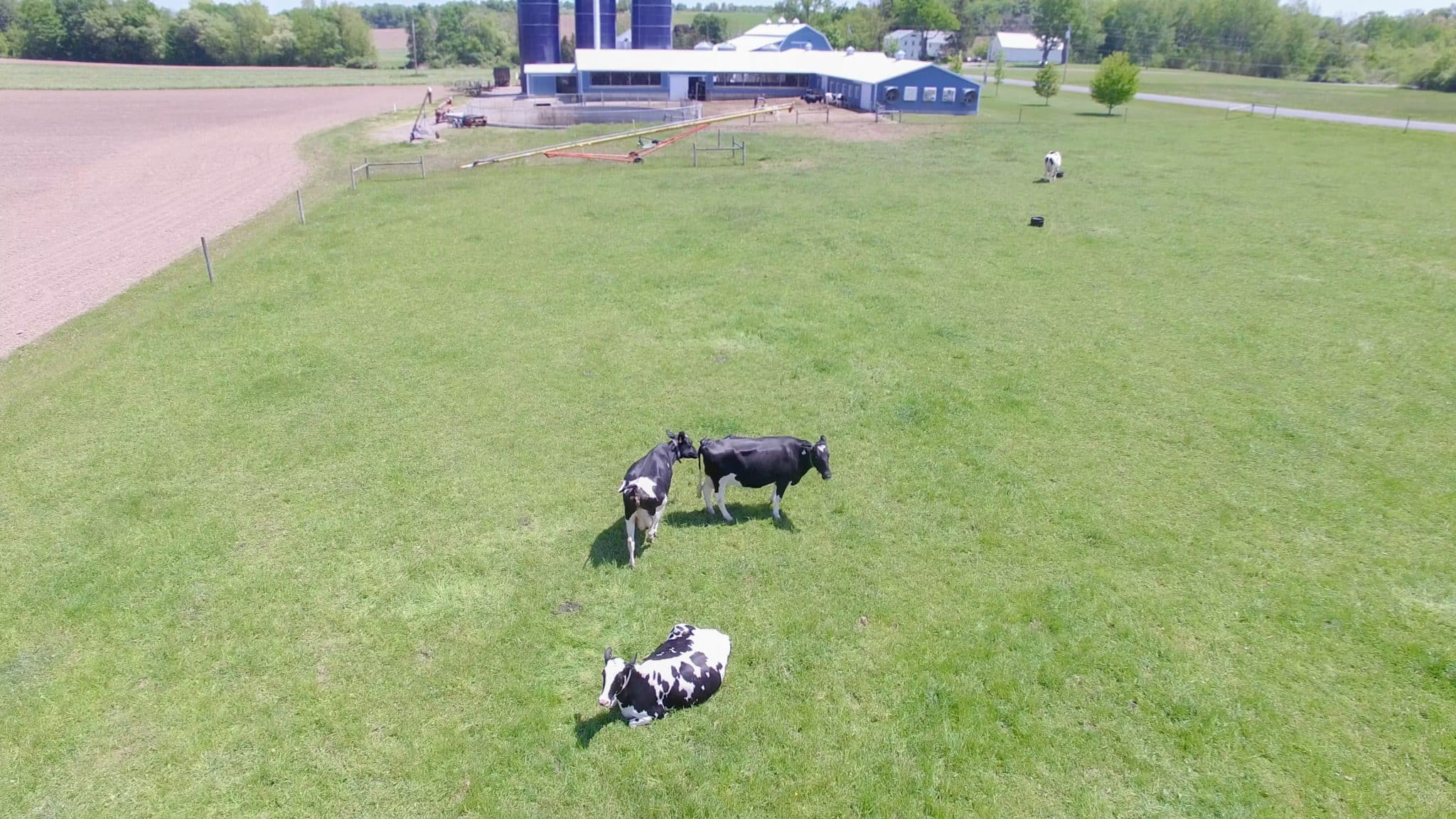 About Stoltzfus Family Dairy - Stoltzfus Family Dairy