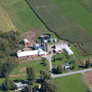 About Stoltzfus Family Dairy - Stoltzfus Family Dairy